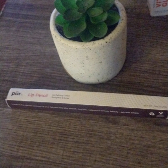Pur | Makeup | Pur Lip Pencil Lip Defining Colour | Poshmark